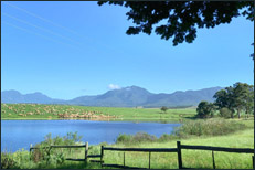 Boscia Farm Stay
